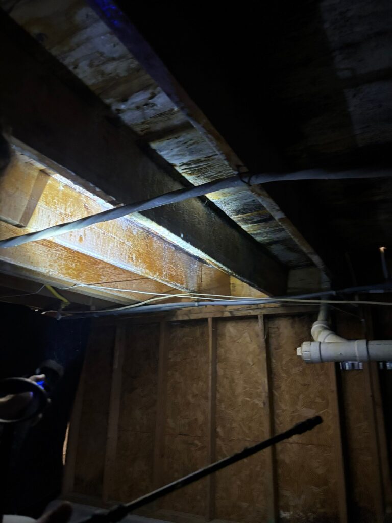 Crawl Space Repair Service in Georgia | Rescue Restoration